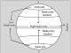 Biodiversity: Definition, Levels, Components & More