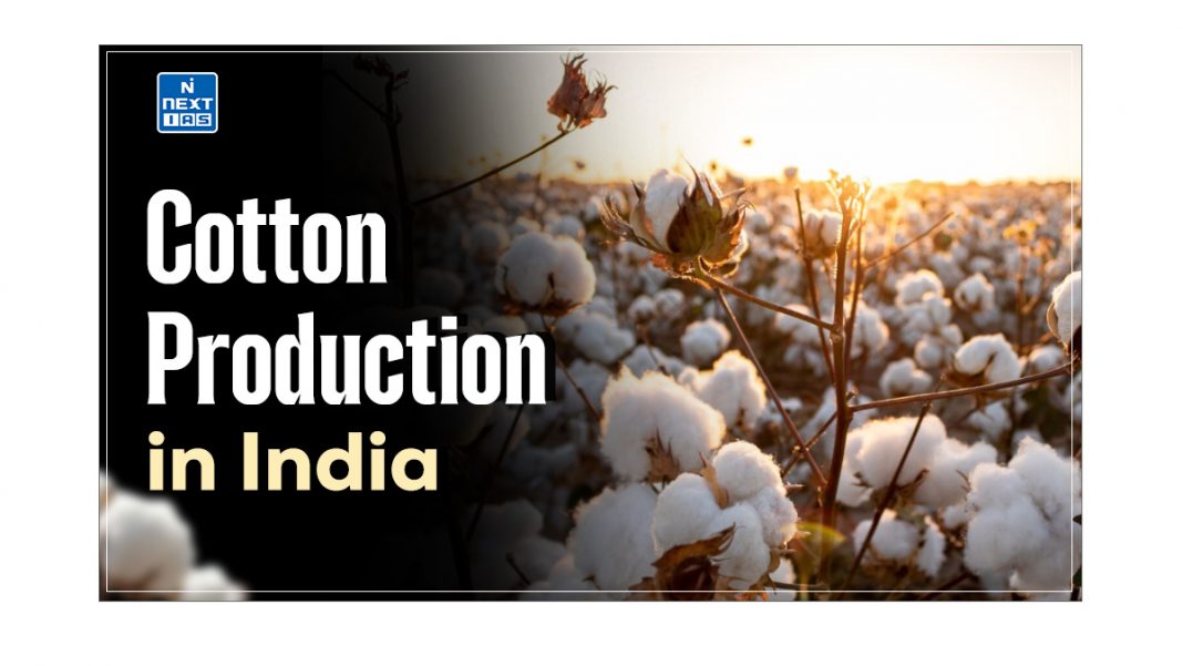 Cotton Production in India: Climatic Conditions, Distribution & Importance