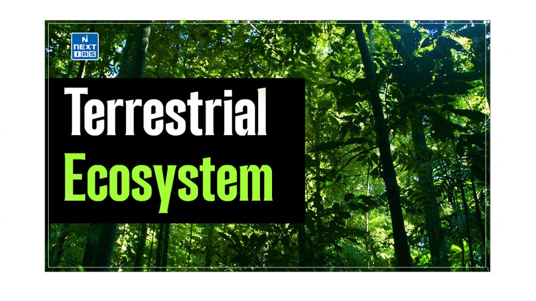 Terrestrial Ecosystem: Meaning and Types - UPSC CSE