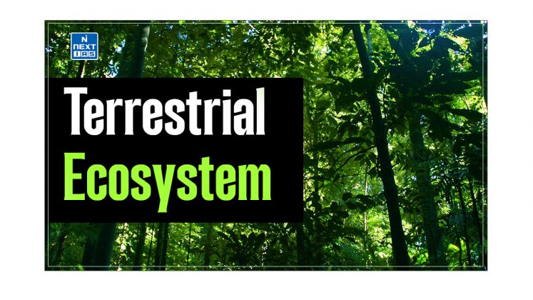 Terrestrial Ecosystem: Meaning and Types - UPSC CSE