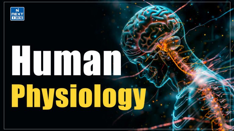 Human Physiology: About, Anatomy, Structure and More