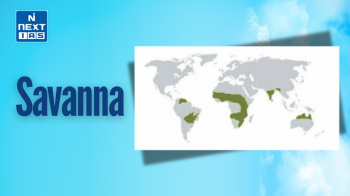 Savanna: Features, Challenges & Significance